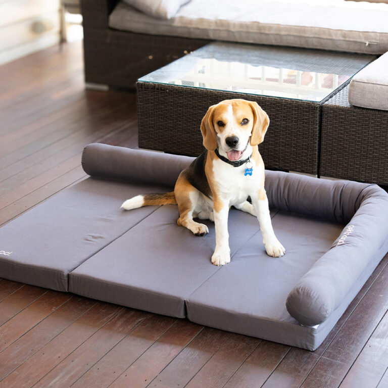 Koda Folding Pet Bed Grey - Pethood