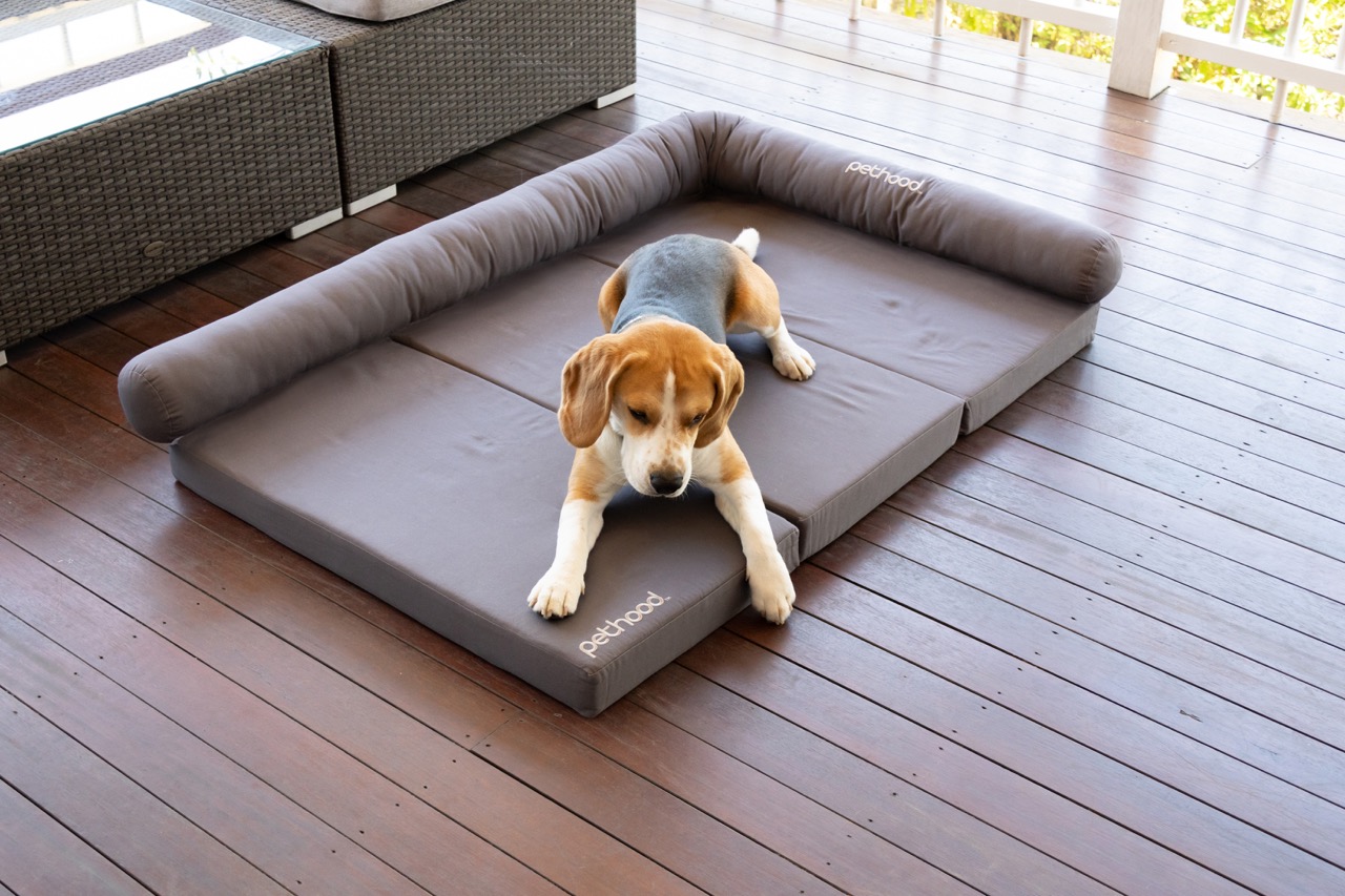 Pethood: Safety, Quality and Innovation