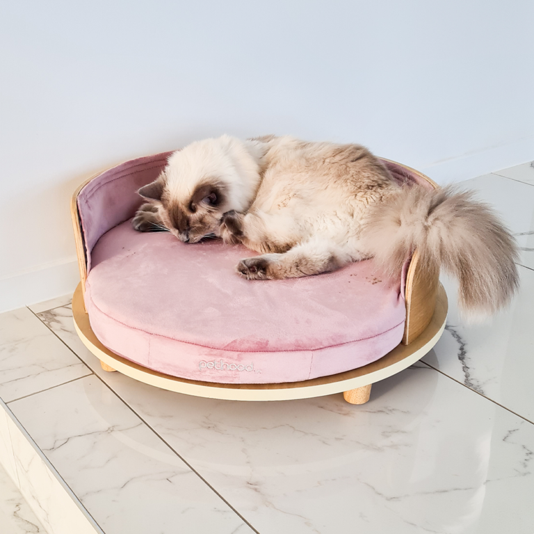 Pethood: Safety, Quality and Innovation